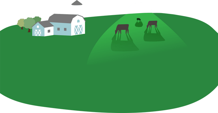 About Us – Thomas Farms